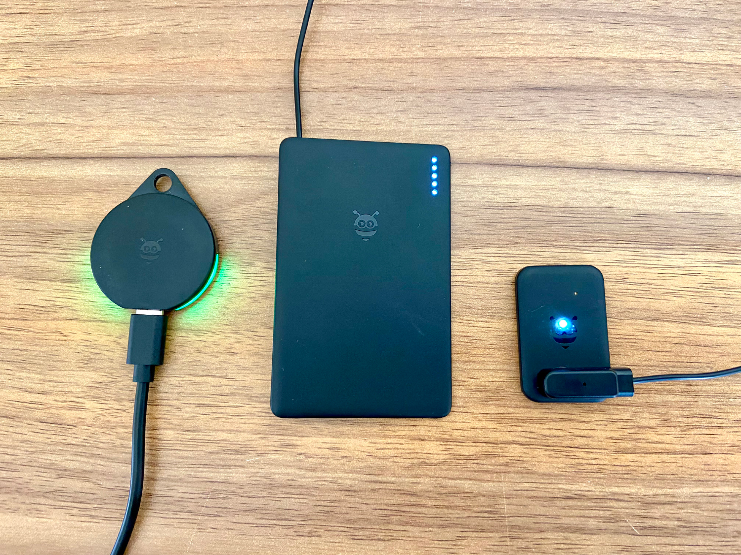 Pebblebee Bluetooth Tracker Reviews 2025: An Expert’s Breakdown - PetPilot